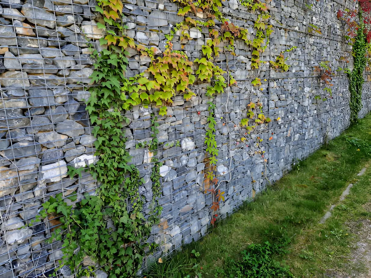 Gabions vs Concrete Walls - Best Option for Saudi Arabia Construction